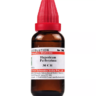 HYPERICUM PERFORATUM - HOMOEO HEALING
